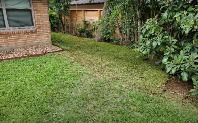 What Is The Cost Of Laying Turf? - PriceMyGarden.co.uk