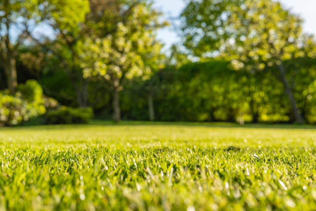Grass Cutting Services Near Me - PriceMyGarden