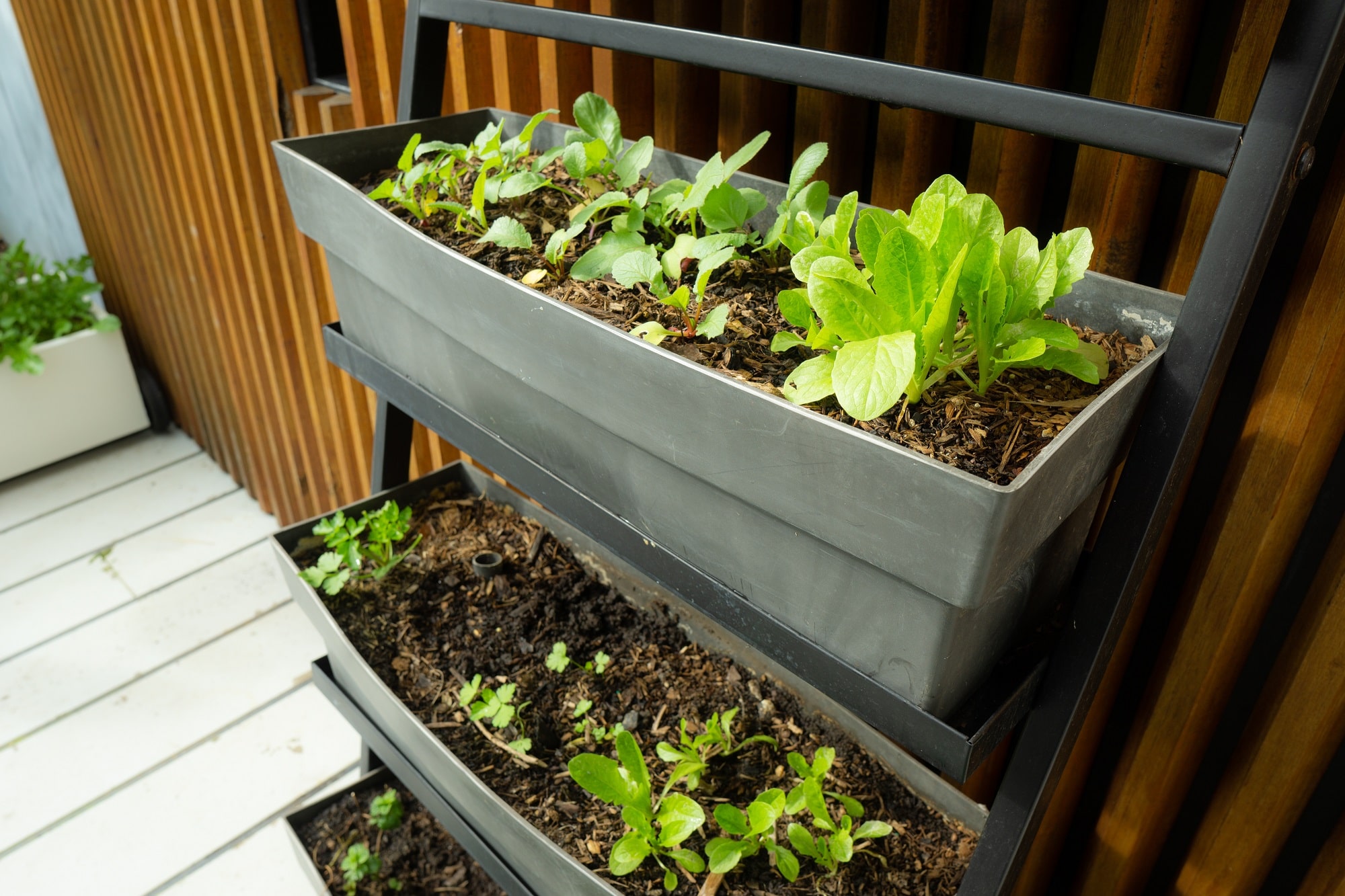 The 20 Best Vertical Garden Ideas for Small Spaces - PriceMyGarden