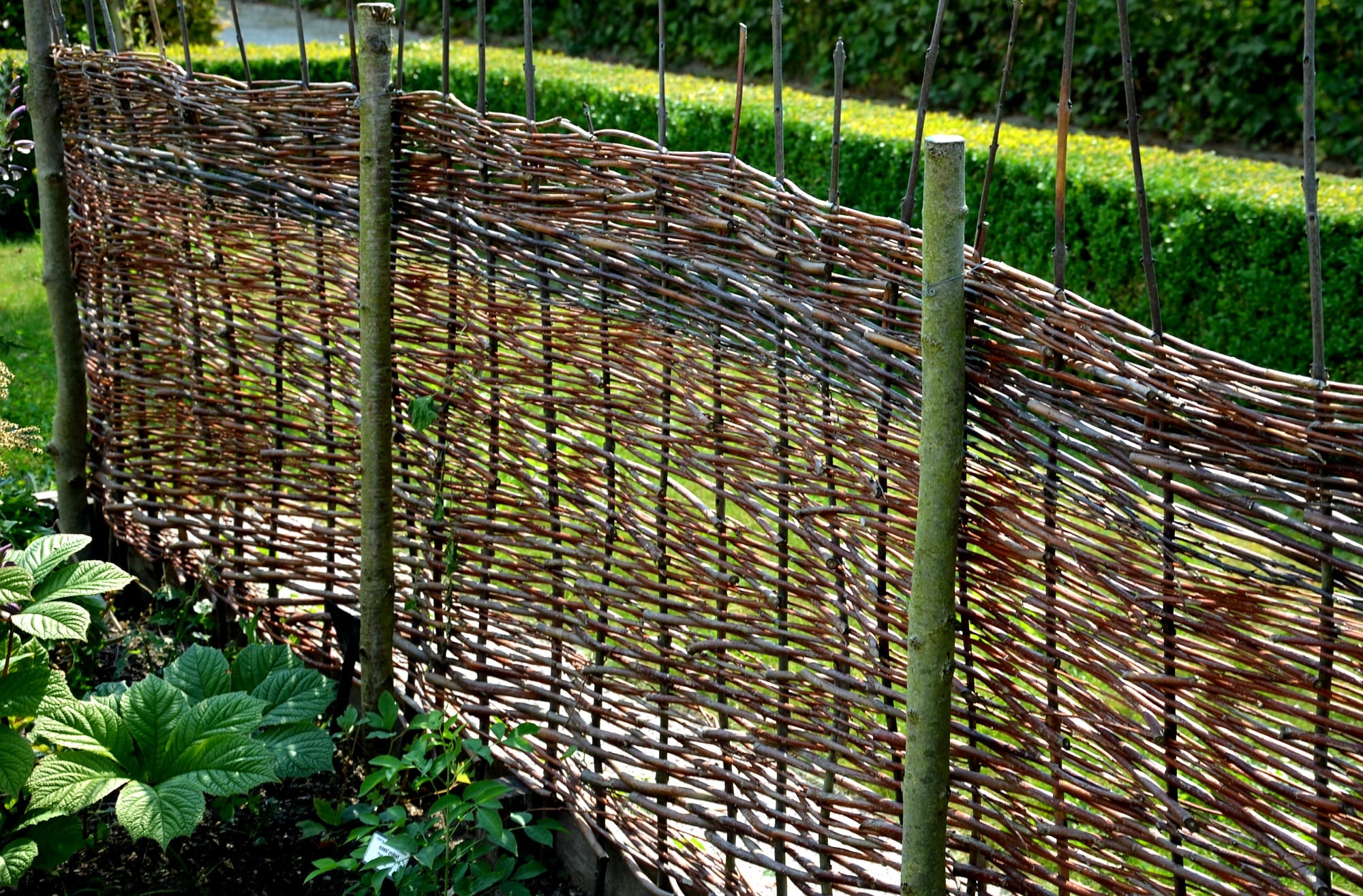 10 Garden Screening Ideas to Transform Your Outdoor Space - PriceMyGarden