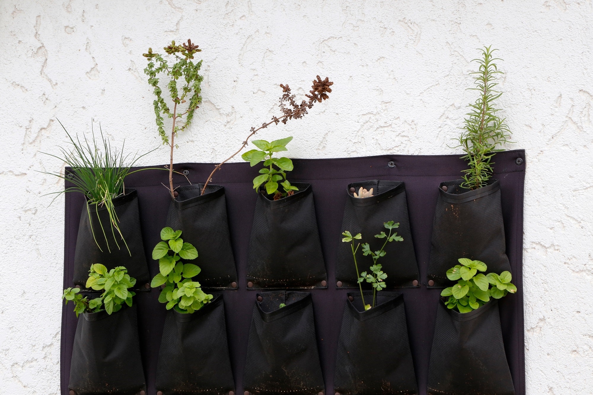 The 20 Best Vertical Garden Ideas for Small Spaces - PriceMyGarden